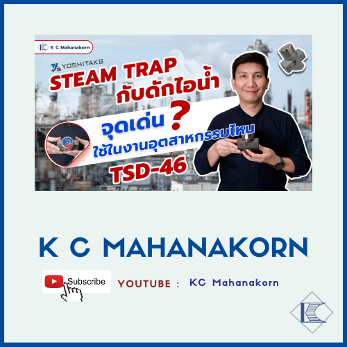 Steam Trap รุ่น TSD 46 เจอในงานอุตสาหกรรมเเบบไหน เเละมีจุดเด่นอะไร ...